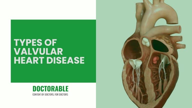 Introducing Valvular Heart Disease - A General Overview